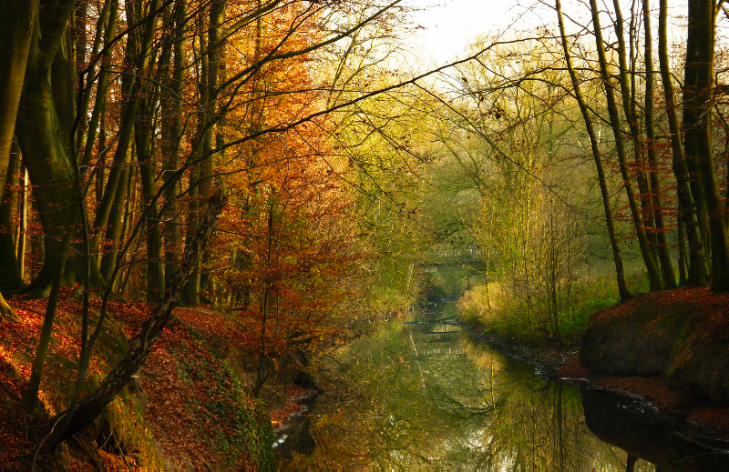 Münster Wolbeck, im Tiergarten - Fotografie von Stefan Wensing